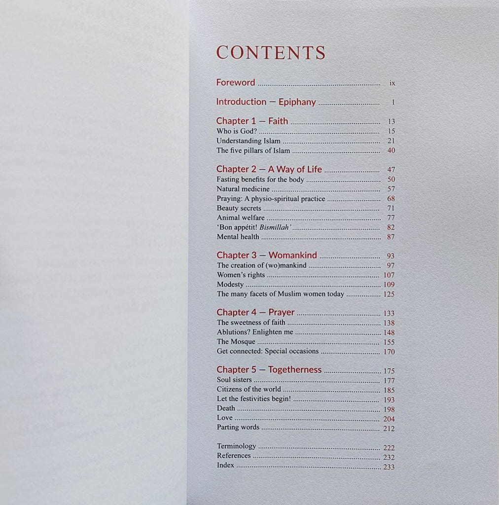 Big Little Steps – dBookHaus