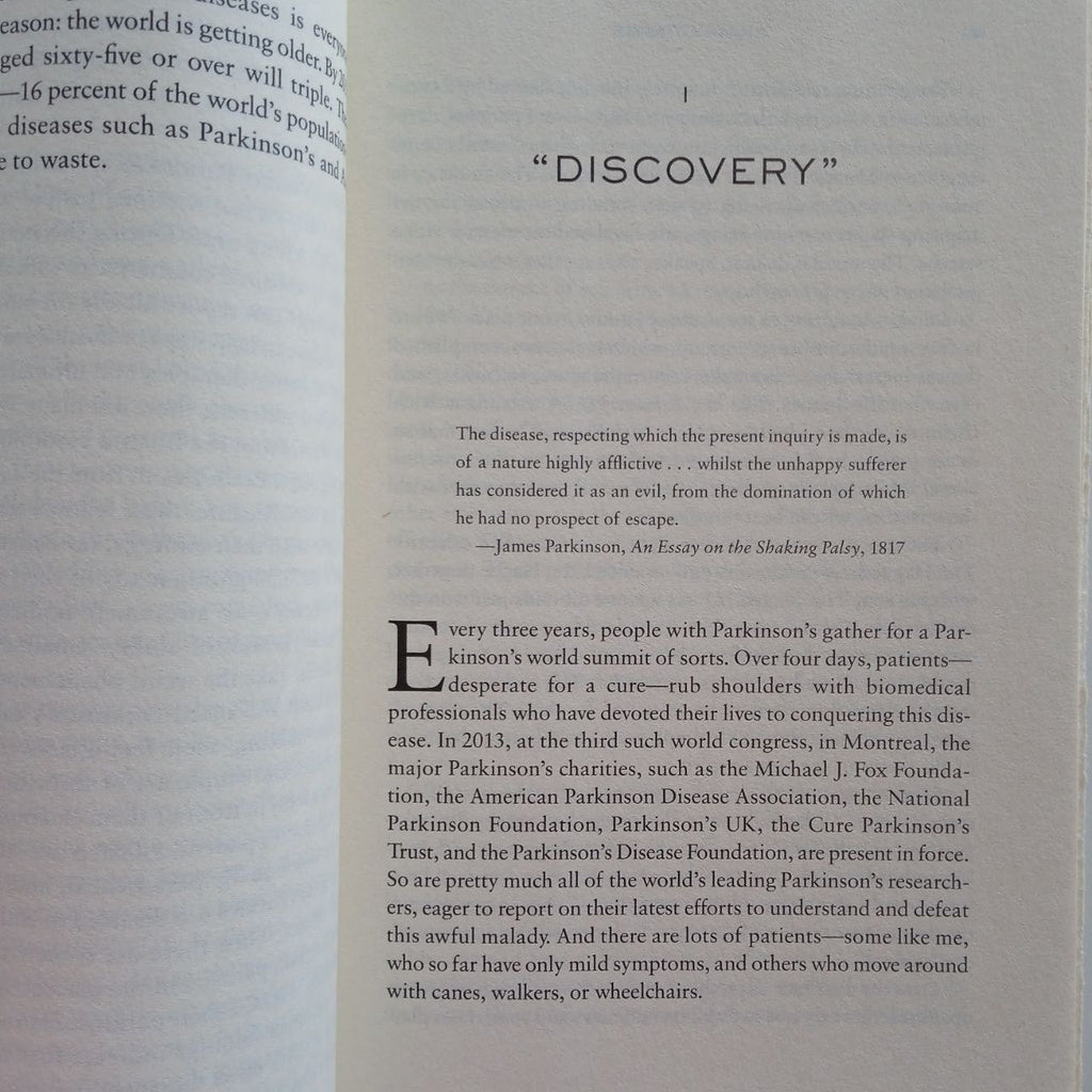 Brain Storm – dBookHaus