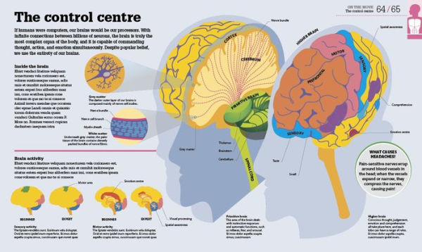 How The Body Works – dBookHaus