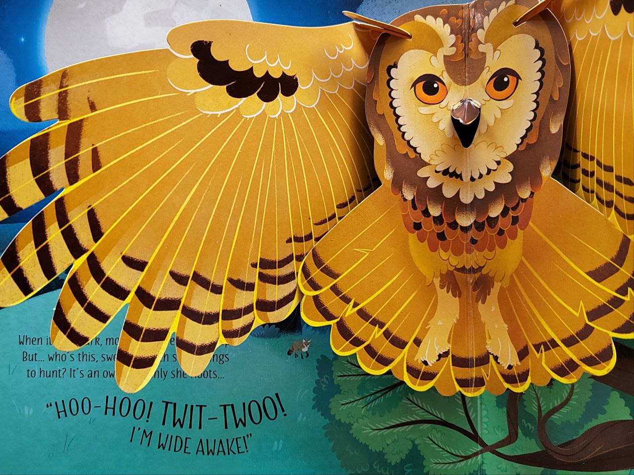 Usborne Pop-up Birds – dBookHaus