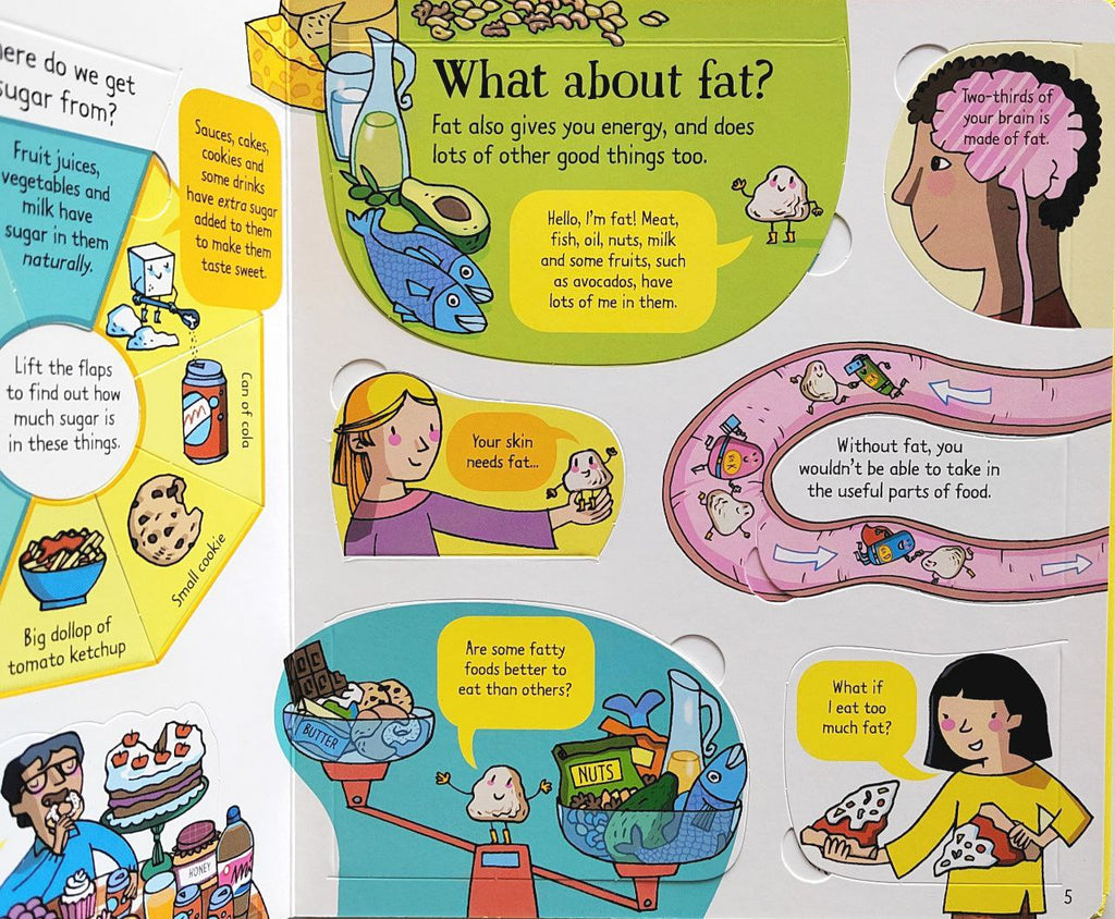Usborne What Happens When You Eat – dBookHaus